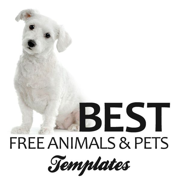 15+ Best Free Animal & Pets Templates