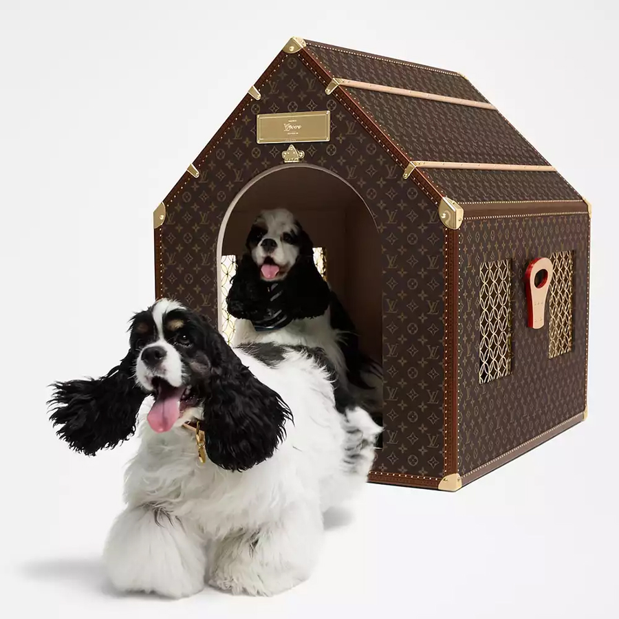 Pharrell Williams Designs Ultimate Luxury for Pets in LV's $65,000 ...
